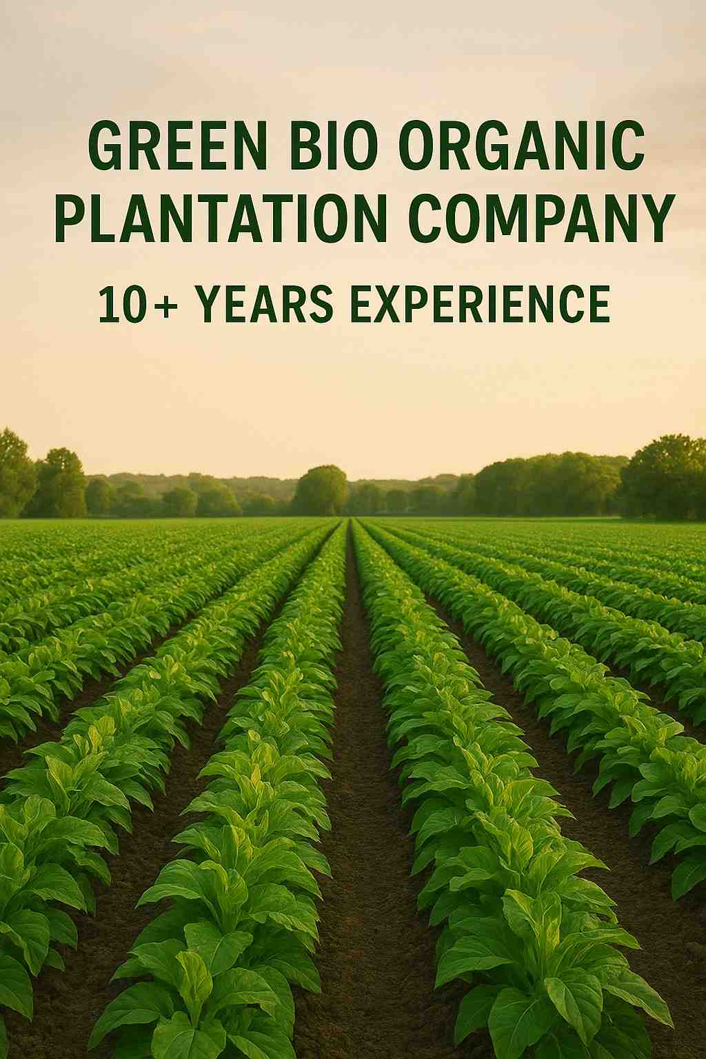 Home - Green Bio Organic Plantation Company